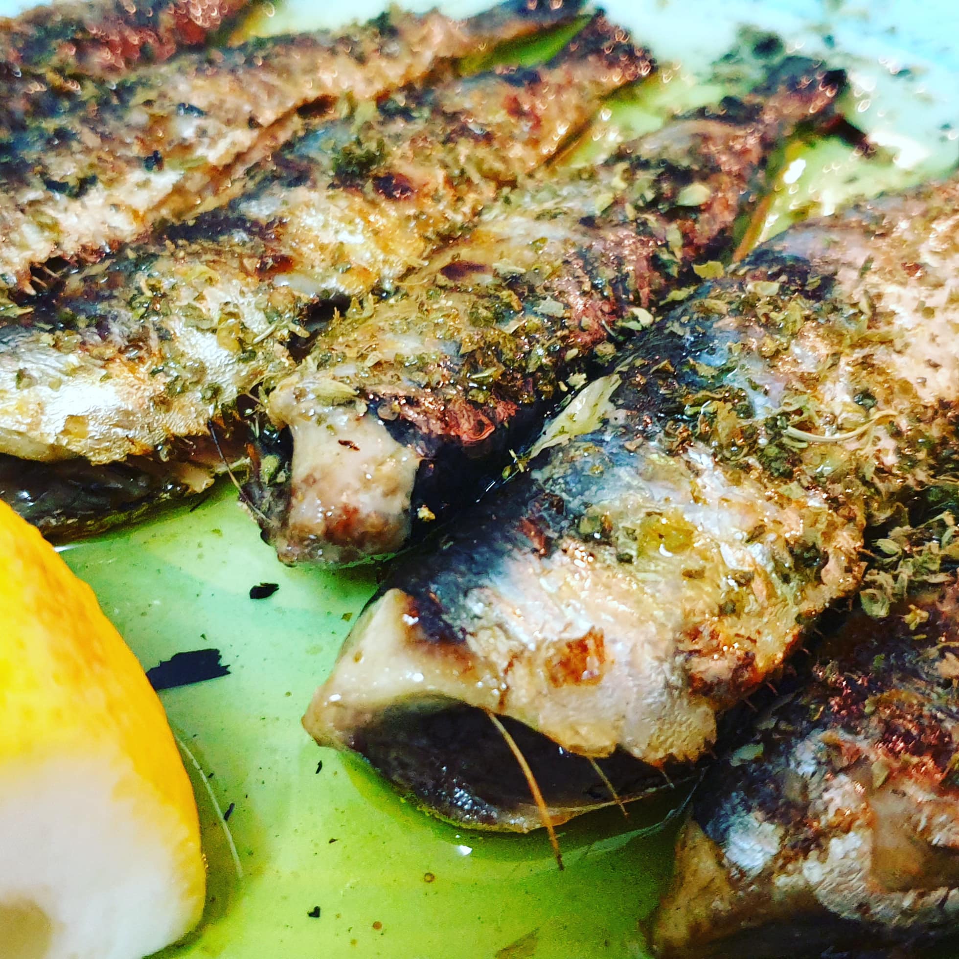 Try Stamatis and you’ll thank me! – Sifnos Wizard